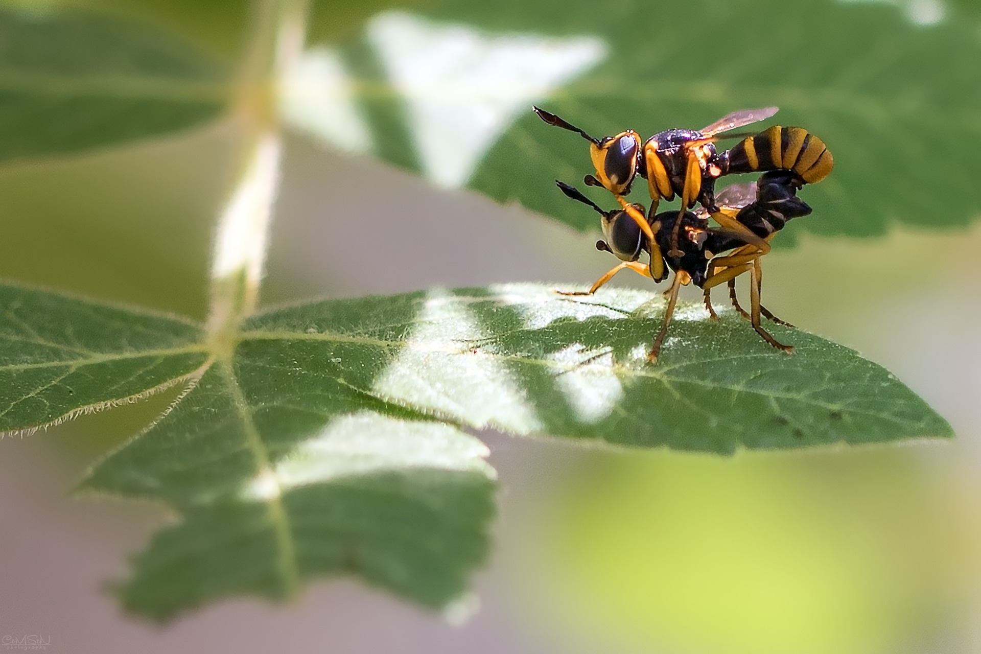 An Open Letter to Mother Nature in Spring - The Curmudgeonly